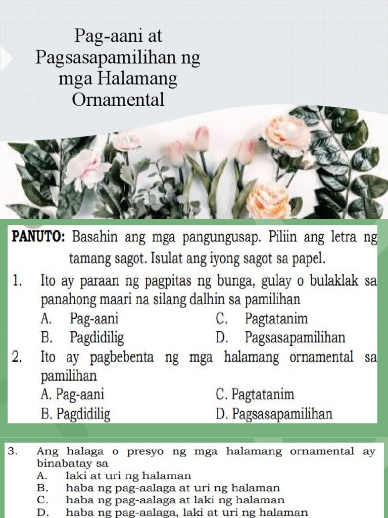 Pag-Aani at Pagsasapamilihan NG Mga Halamang Ornamental | PDF