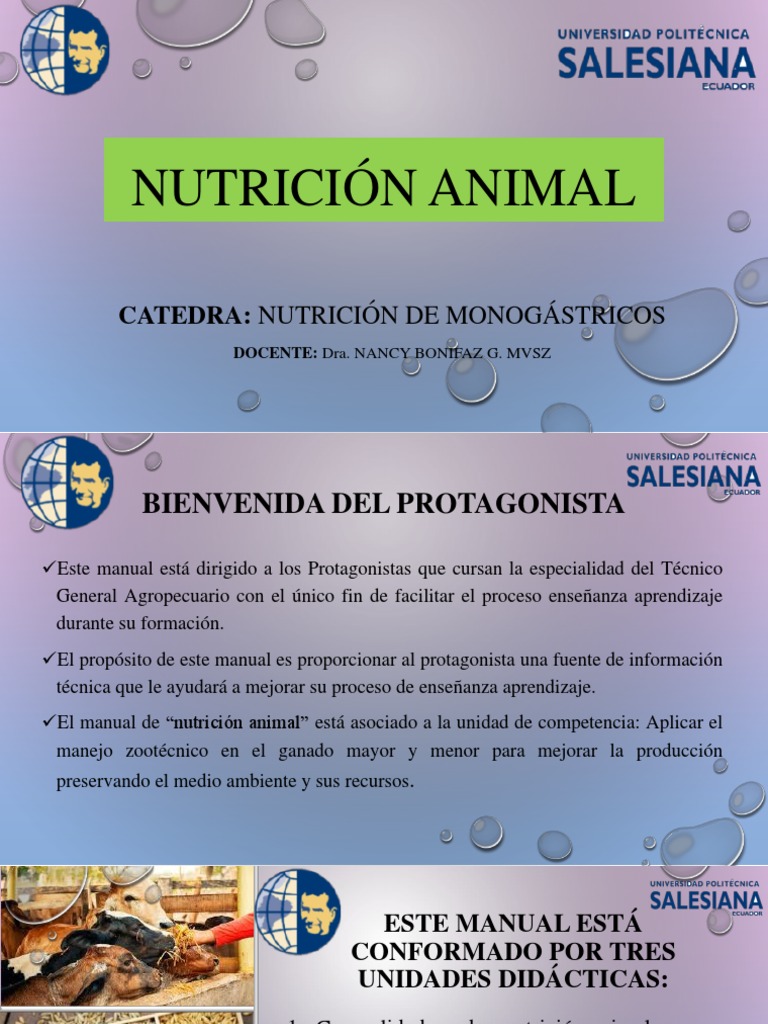 Nutrición Animal | PDF | Metabolismo | Digestión