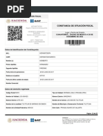 Formato RFC | PDF | México | Gobierno