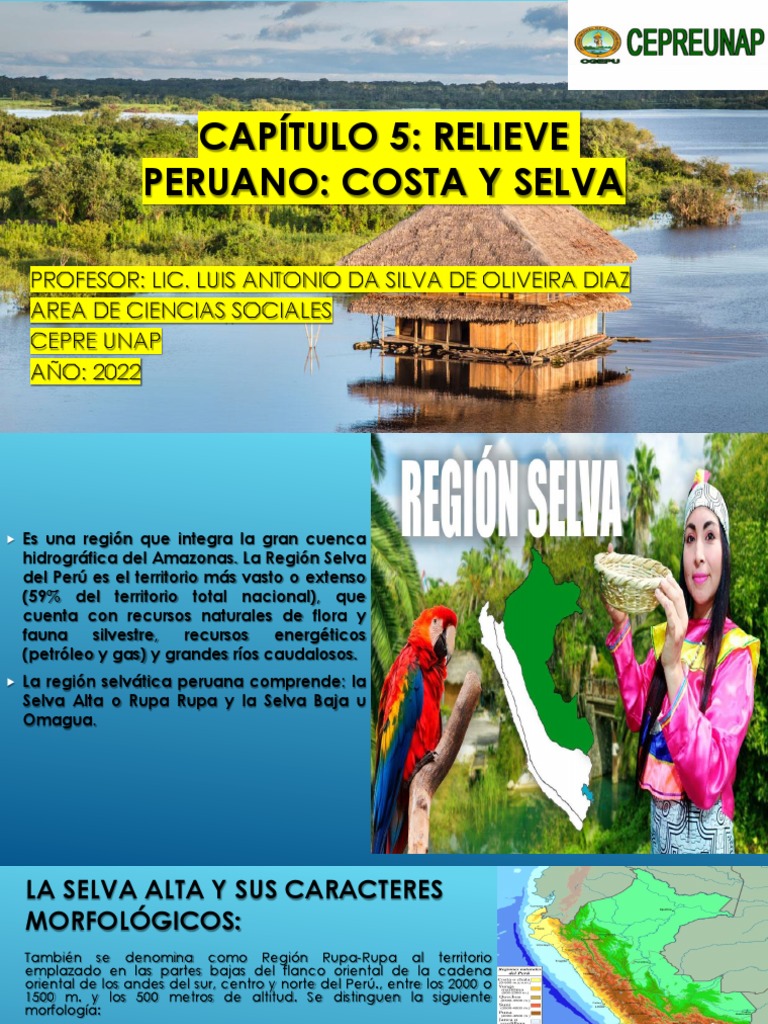Diapositivas - Tema 5. Relieve Peruano La Costa y La Selva | PDF | Perú ...