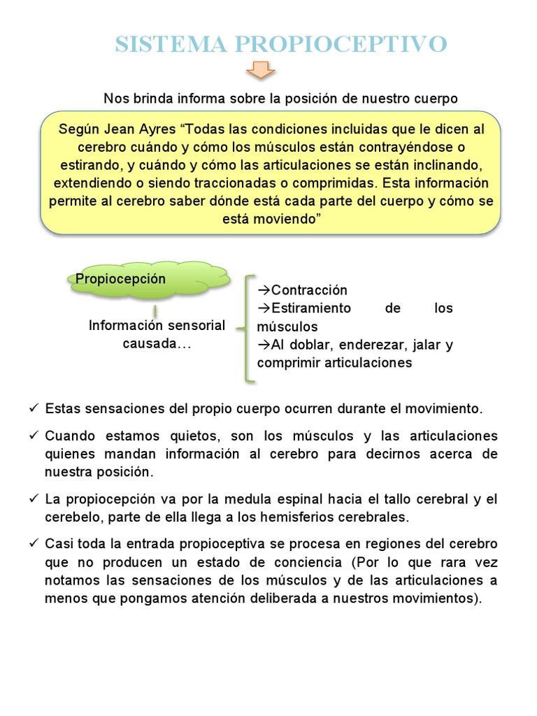 Sistema Propioceptivo | PDF | Cerebro | Ciencia cognitiva