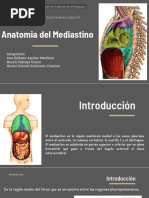 Función y Ubicación del Plexo Cardíaco | PDF