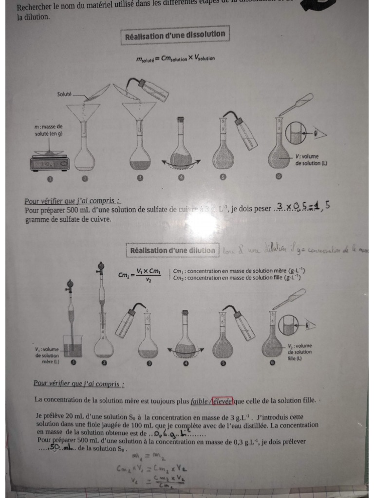 Réalisation D'une Dissolution Et D'une Dilution | PDF