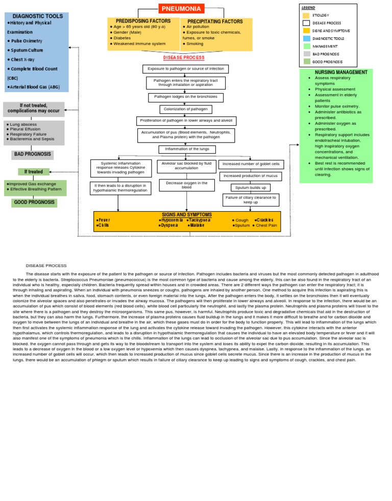 Schematic Diagram | PDF | Respiratory Tract | Pneumonia