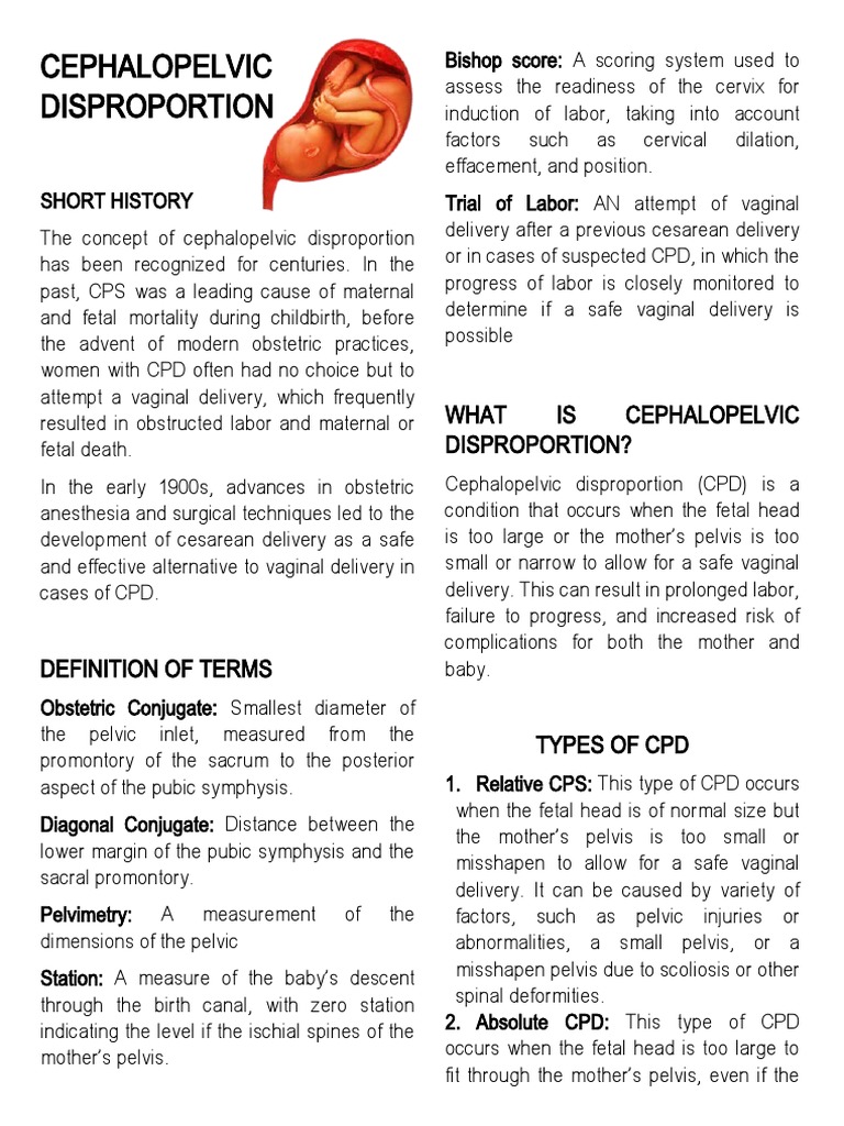 Cephalopelvic Disproportion | PDF | Childbirth | Pelvis Cephalopelvic Disproportion | PDF | Childbirth | Pelvis