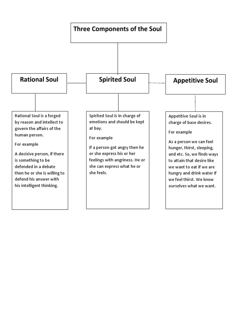3 Components of The Soul of Plato | PDF