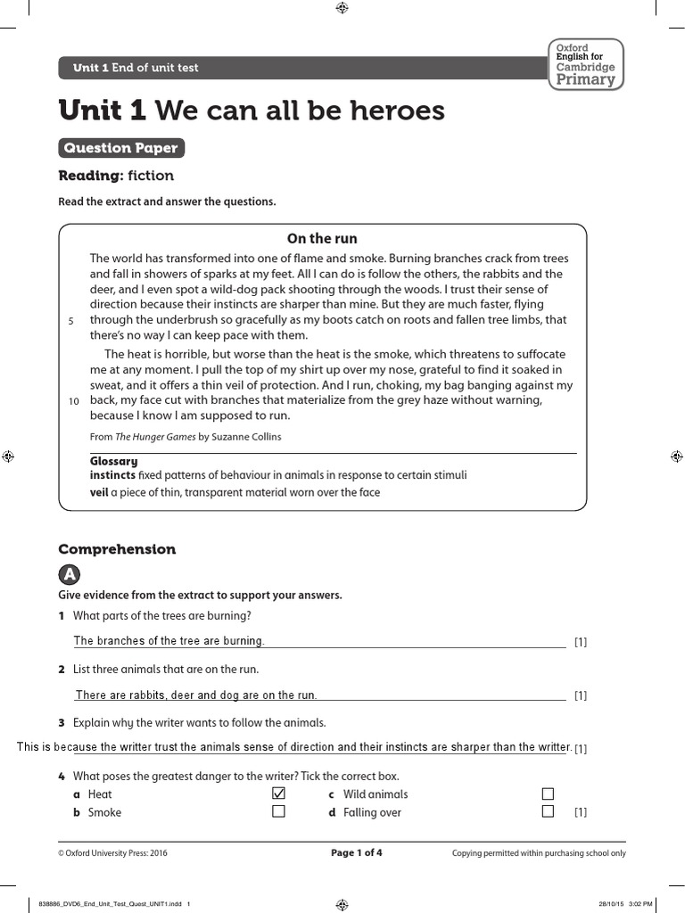 DVD6 End Unit Test Quest UNIT1 | PDF | Instinct