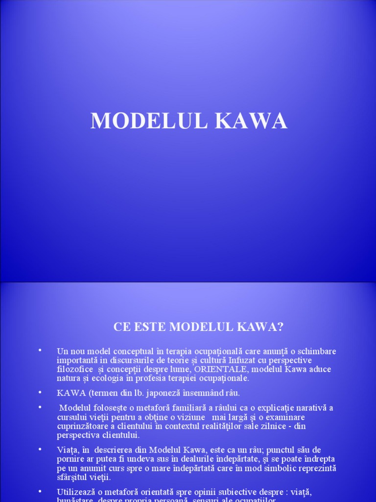 Kawa Model | PDF