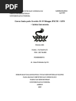 Panduan ICD-10 untuk Death Conceptus | PDF | Pengembangan Diri ...