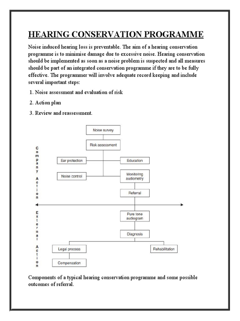 Hearing Conservation Programme | PDF | Noise | Occupational Safety And ...