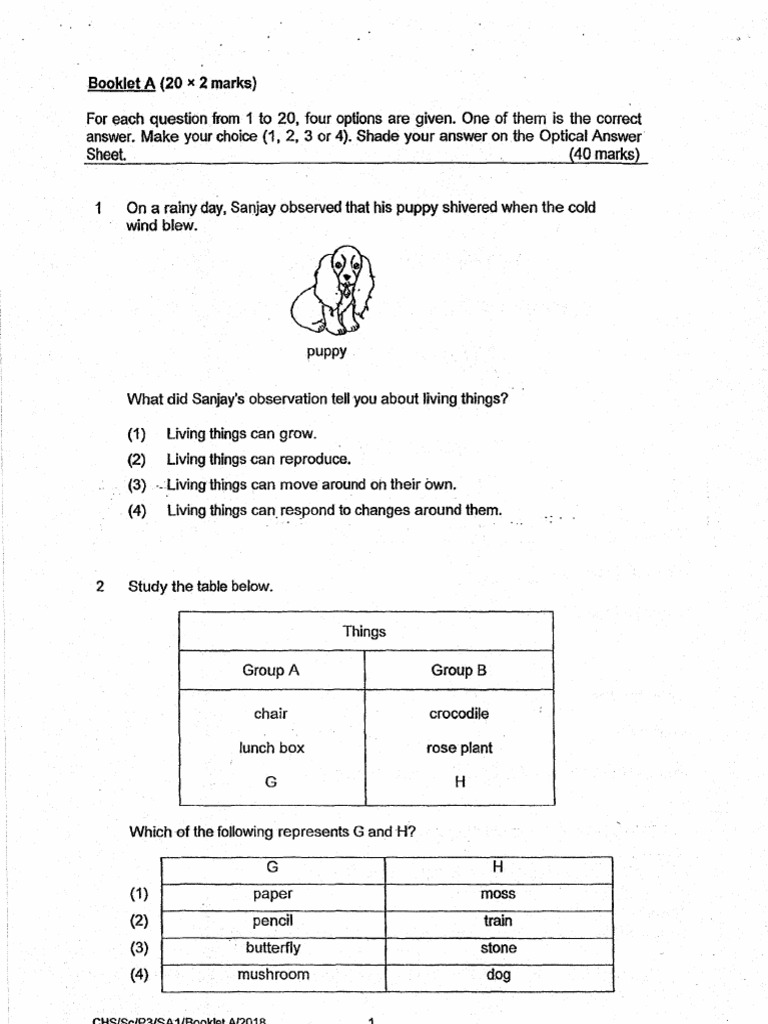 W3 P3 - Science - SA1 | PDF
