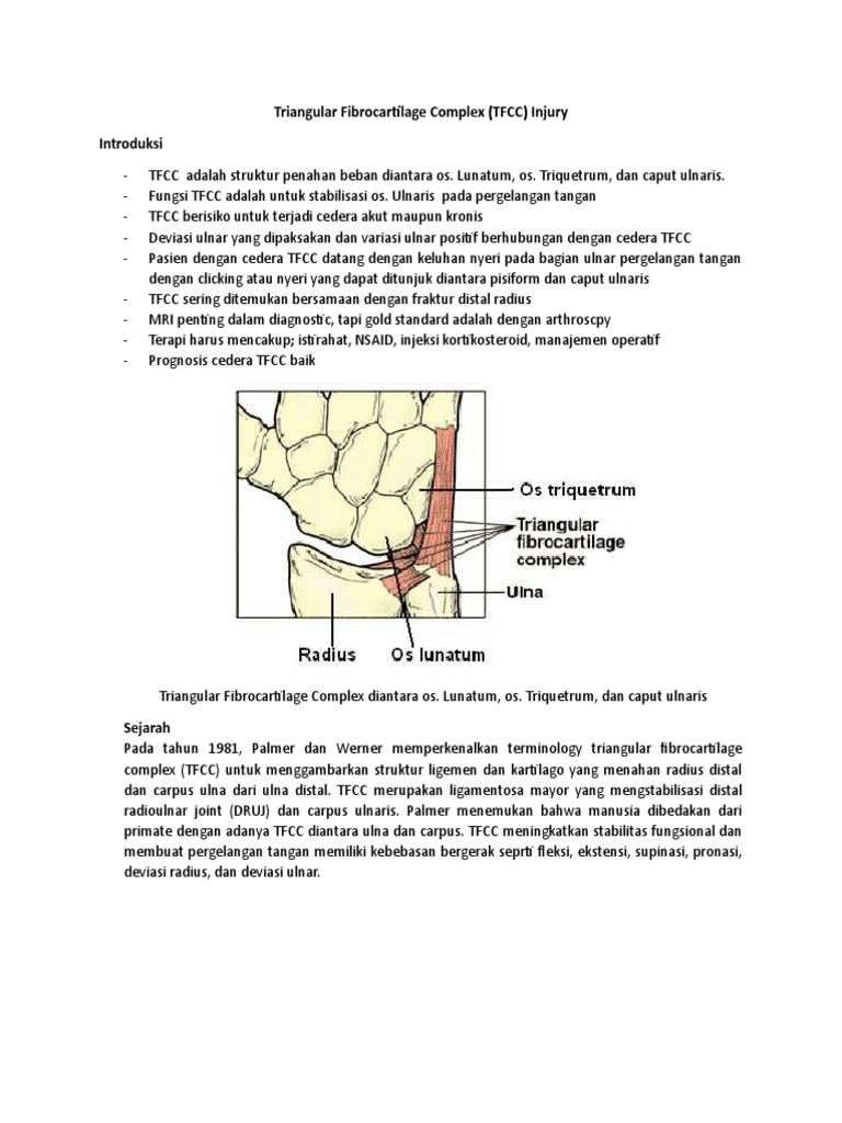 Triangular Fibrocartilage Complex (TFCC) Injury Introduksi | PDF