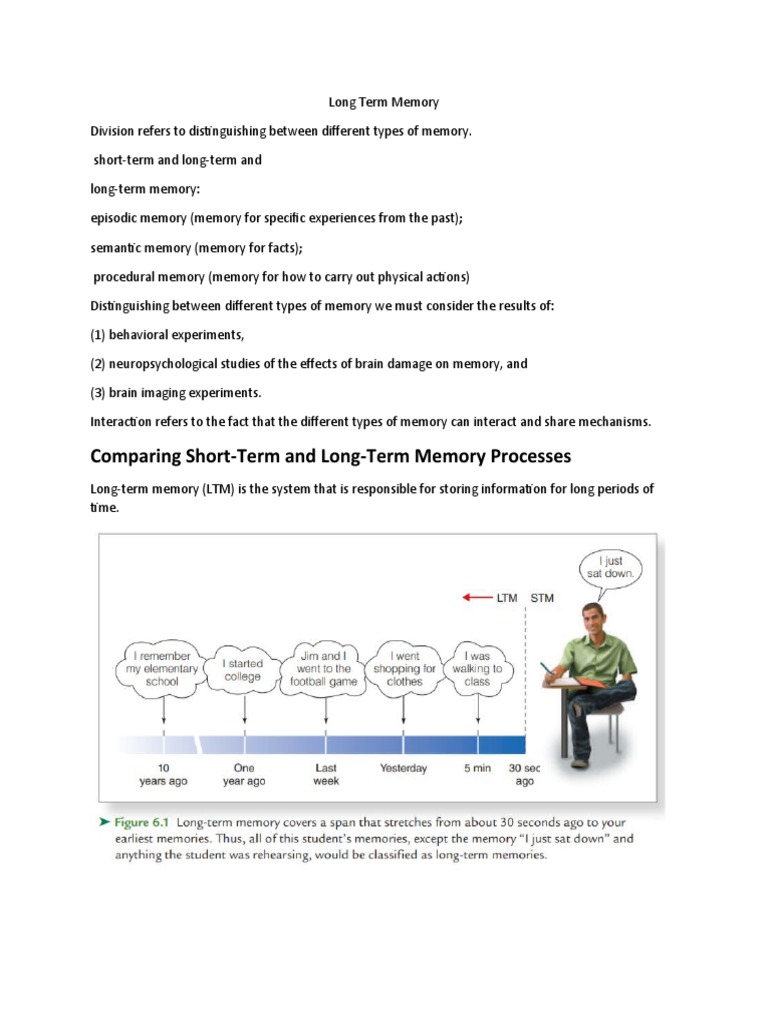 Long Term Memory | PDF