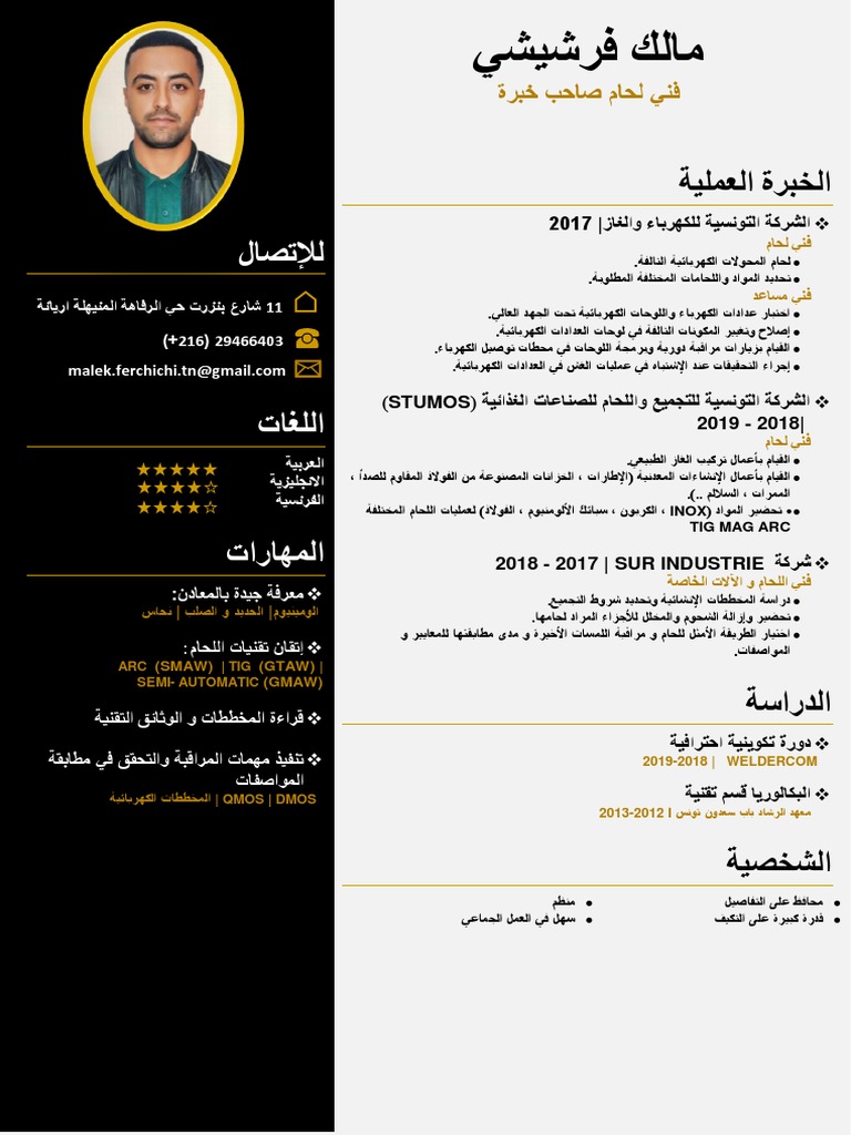 CV Ar Malek Ferchichi | PDF