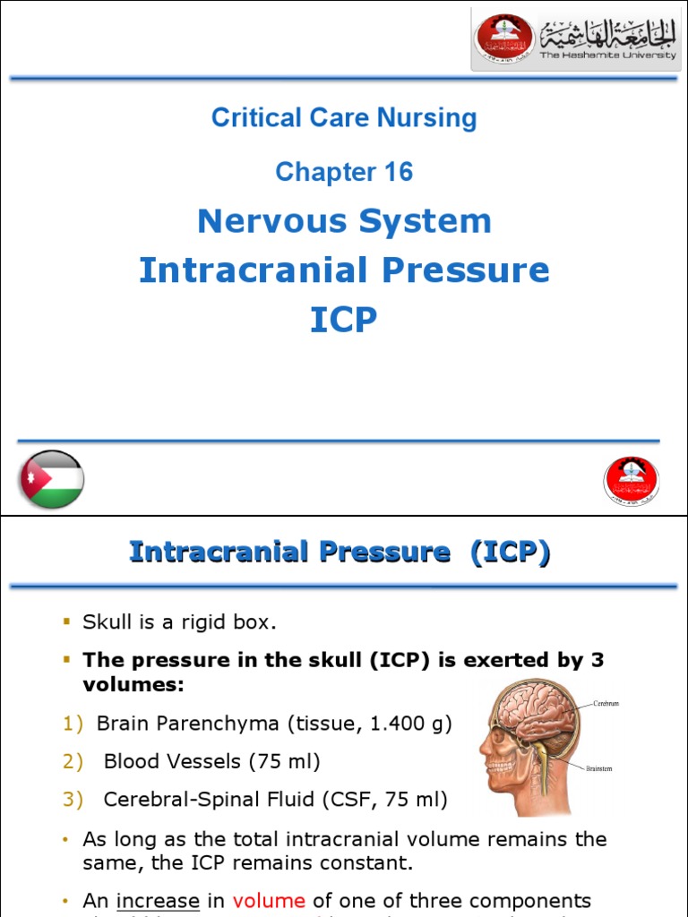 Intracranial Pressure ICP: Nervous System | PDF