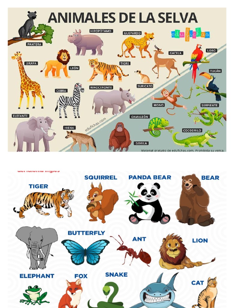 Animales Silvestres | PDF