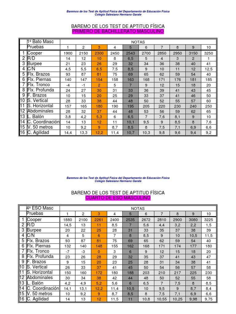 BAREMOS TEST Condición Física | PDF