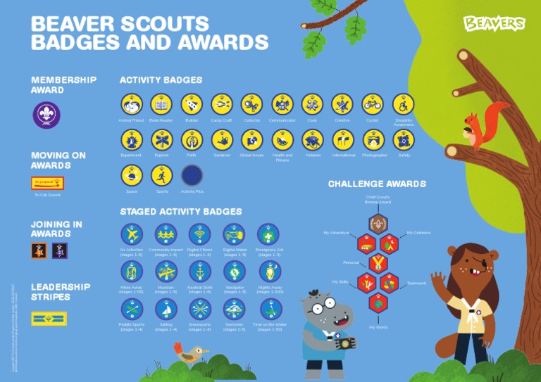 Beaver Badges and Awards | PDF | Girl Guiding And Girl Scouting | Youth ...