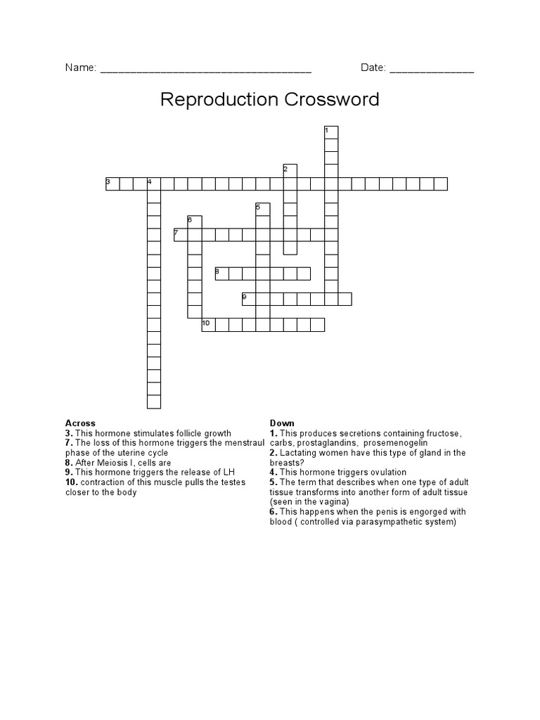 Reproductive System Crossword Puzzle | PDF