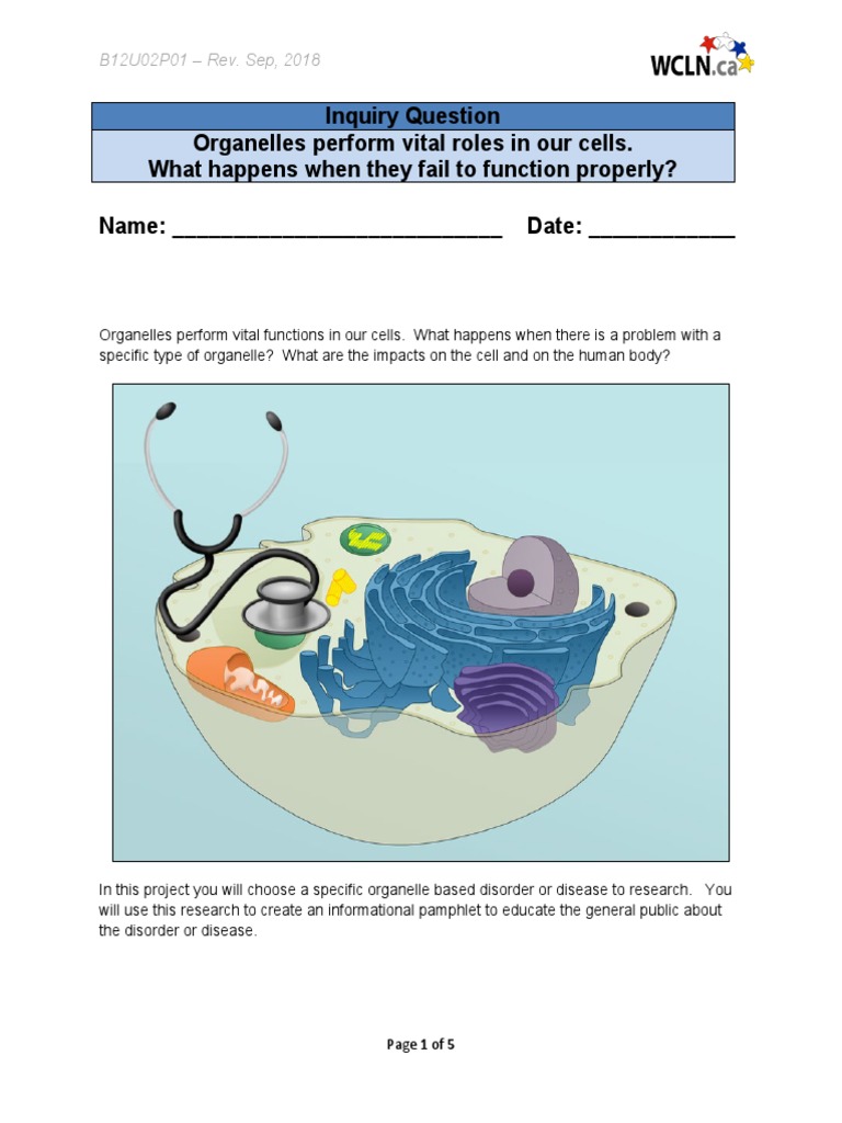 Pearson, Josie Unit 2 Project | PDF | Epidemiology | Metabolic Disorders