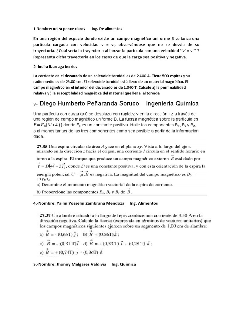 Fuerza y Torque Magnetico | Descargar gratis PDF | Campo magnético ...