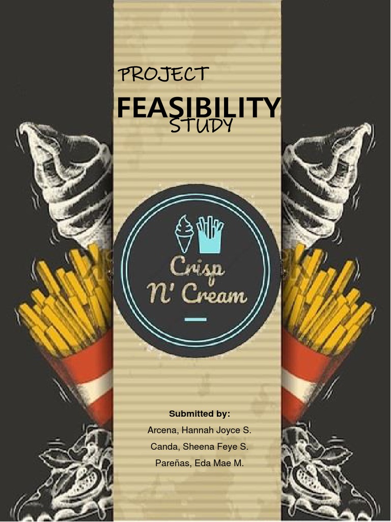 Feasibility Study | PDF | Expense | Balance Sheet