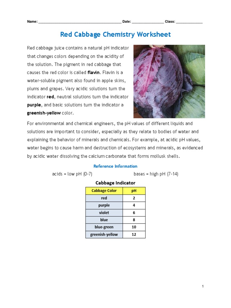 CABBAGE CHEMISTRY Worksheet | PDF | Ph | Sodium Bicarbonate