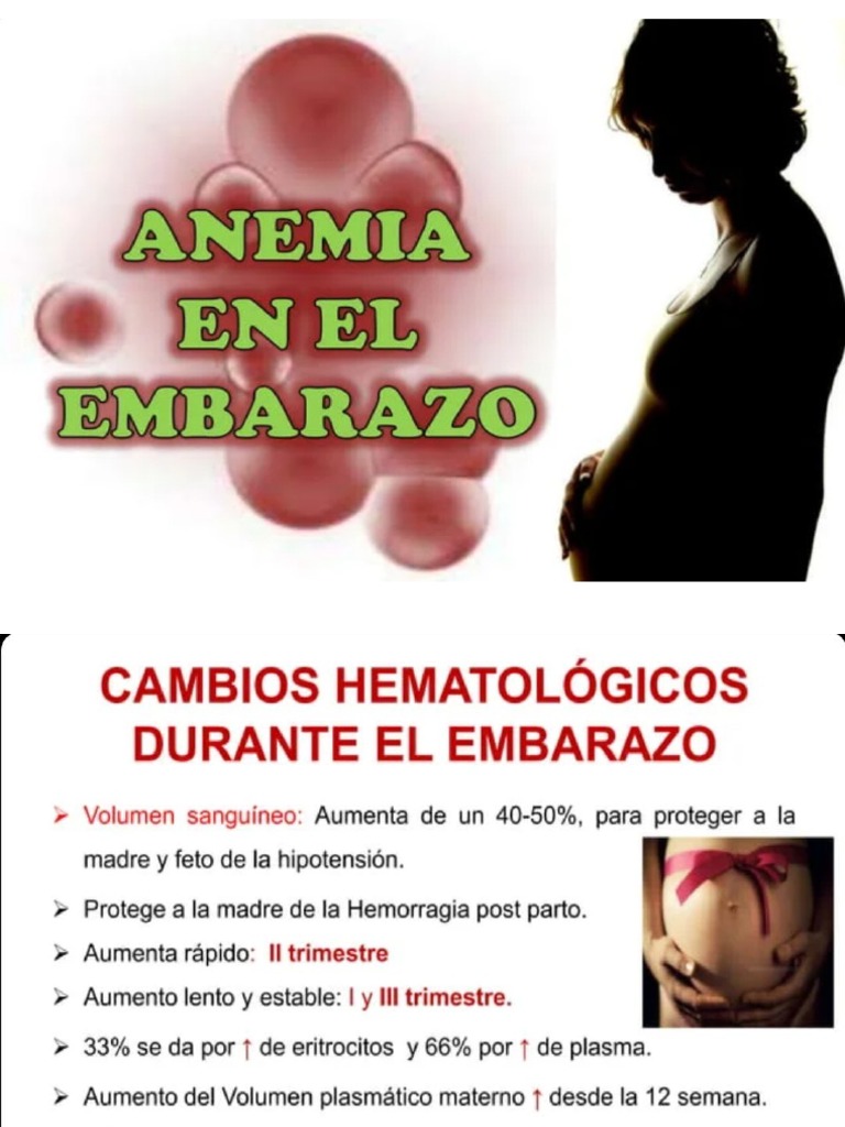 Anemia en El Embarazo | PDF