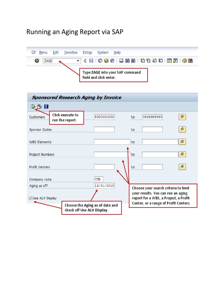 SA SAP - Aging - Report | PDF