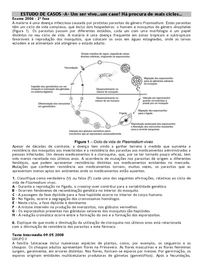 Estudos de Caso 2 - Ciclos de Vida | PDF | Meiose | Ploidia