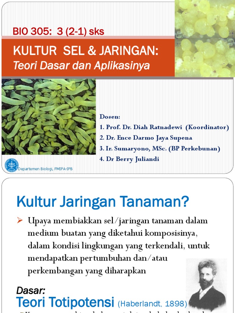 Kultur Sel & Jaringan:: Teori Dasar Dan Aplikasinya | PDF