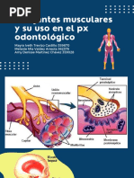 Uso y Precauciones de FLEXIDOL RELAX | PDF | Droga anti-inflamatoria ...