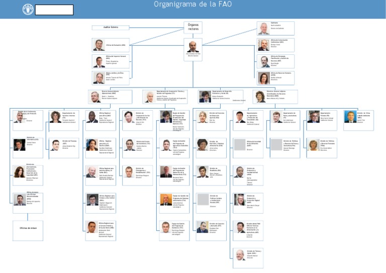 Organigrama de La Fao | PDF | Organización de Comida y Agricultura ...