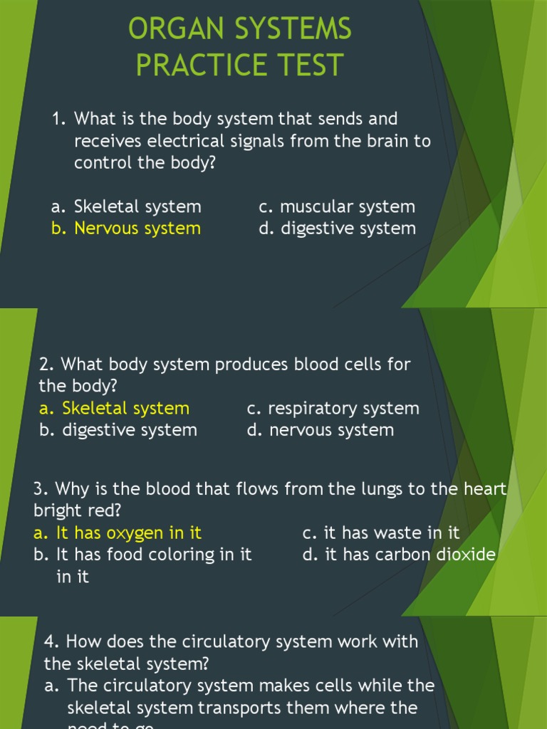 Organ Systems Practice Test | PDF | Human Body | Skeletal Muscle