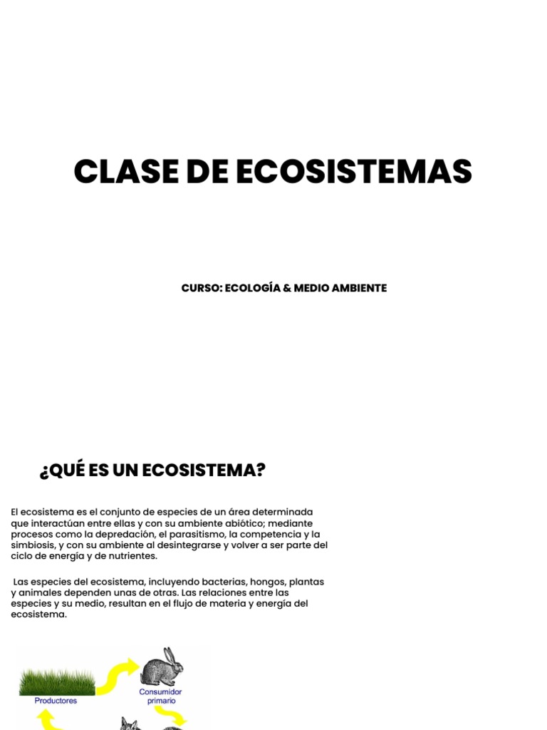 Clases de Ecosistemas - Ecologia & Medio Ambiente | PDF | Ecosistema | Suelo