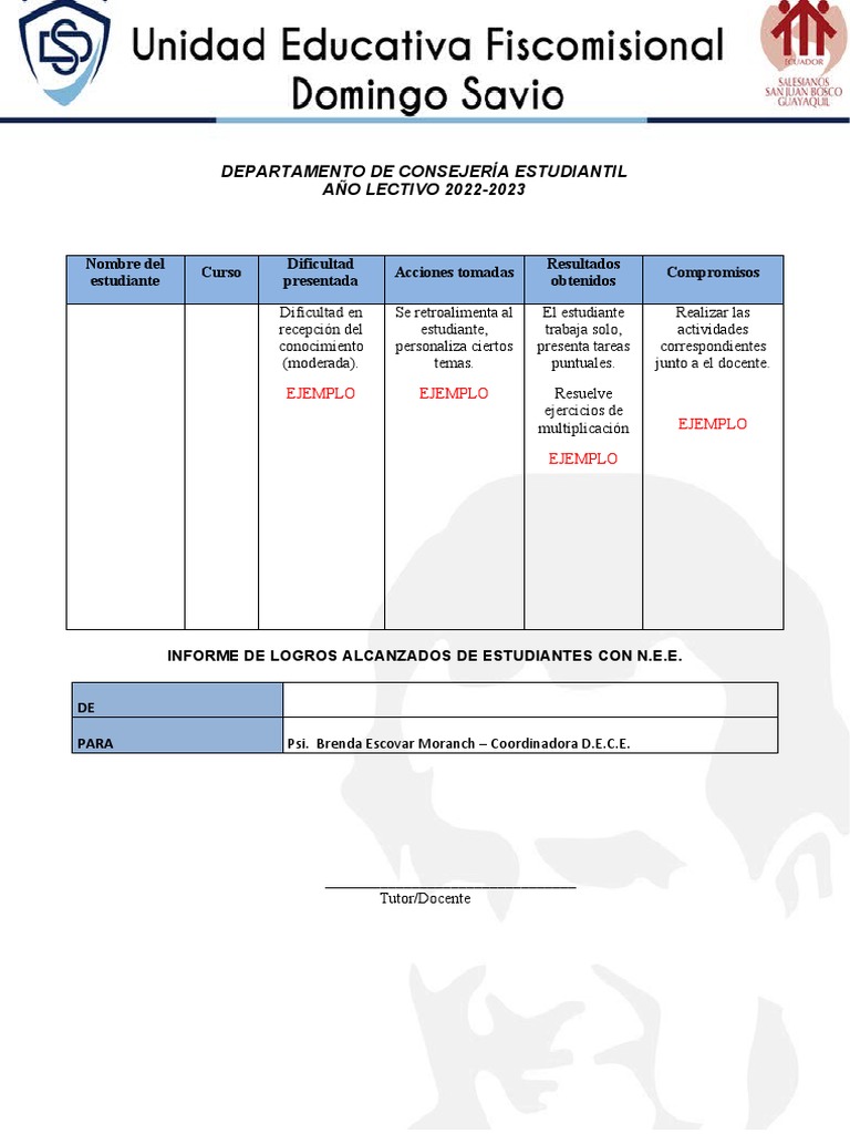 4 Informe de Logros Alcanzados Nee | PDF