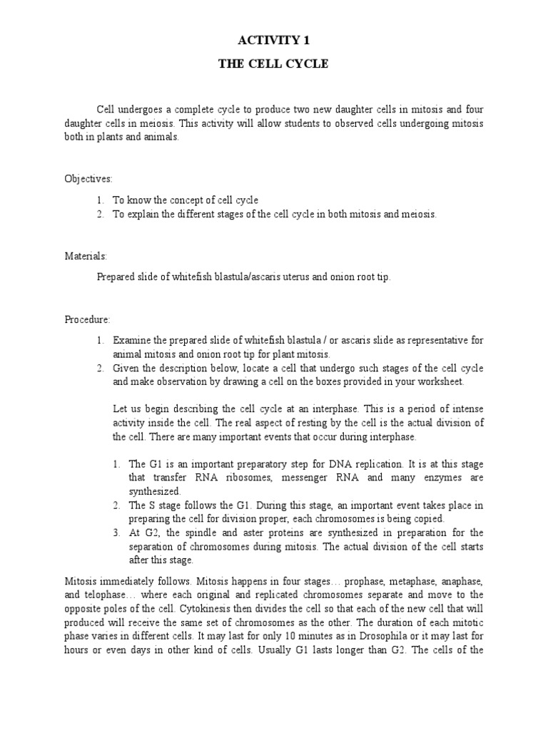 The Cell Cycle Activity 1 | PDF | Meiosis | Mitosis