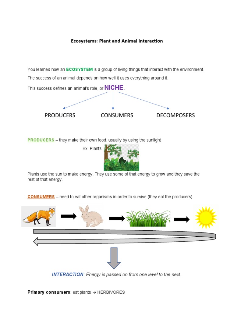 Ecosystem Interactions: Plants and Animals | PDF