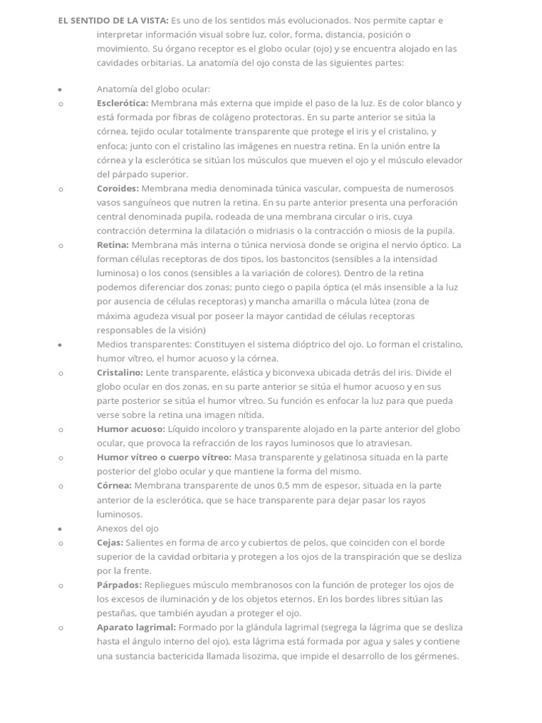 El Sentido de La Vista | PDF | Ojo humano | Percepción visual