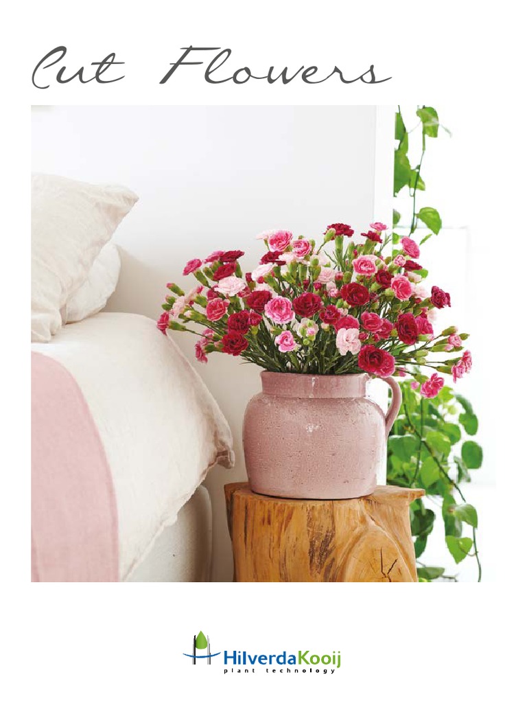 HilverdaKooij Snijbloemen | PDF | Botany | Plants