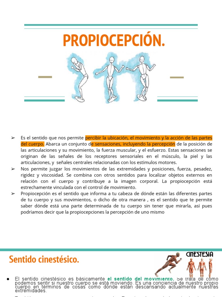 Propiocepción. | Descargar gratis PDF | Percepción | Ciencia cognitiva