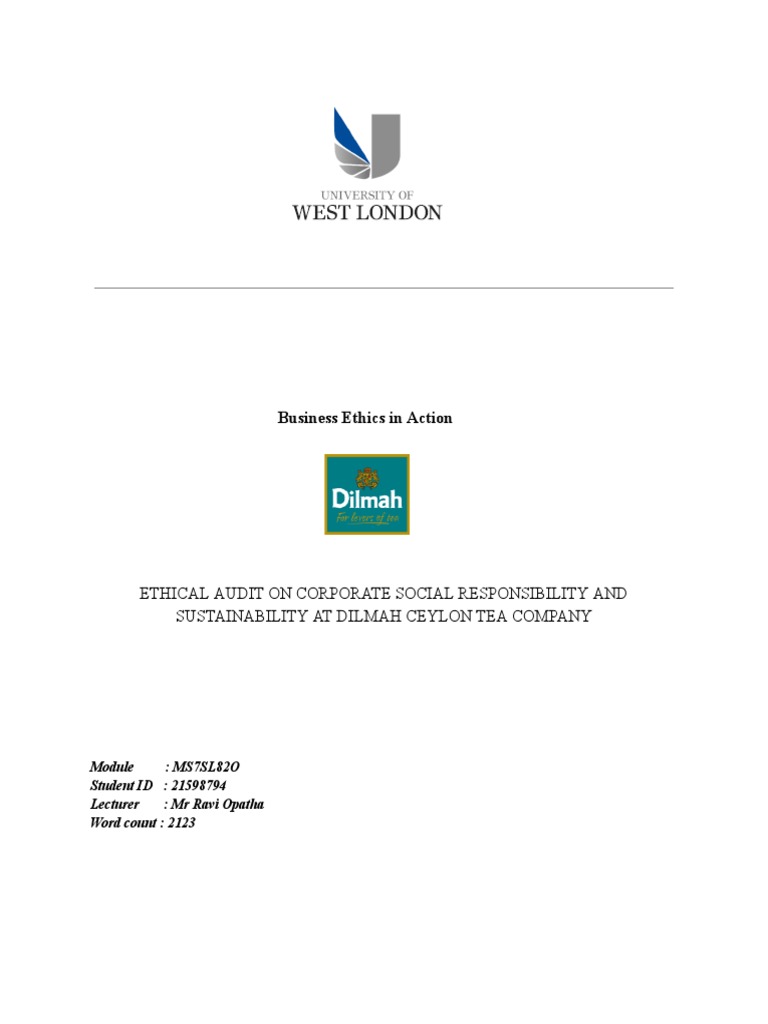 (RO) MS7SL82O - 21598794 - Ethical Audit | PDF | Corporate Social ...