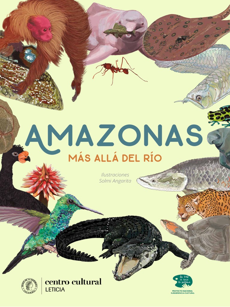 Fauna y Flora de la Amazonía Infantil | PDF | Selva amazónica | Entorno ...
