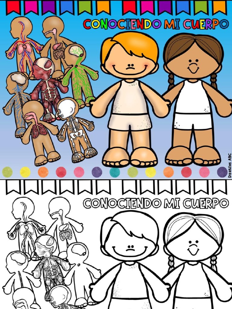 Conociendo Mi Cuerpo en Preescolar | PDF | Evaluación | Aprendizaje
