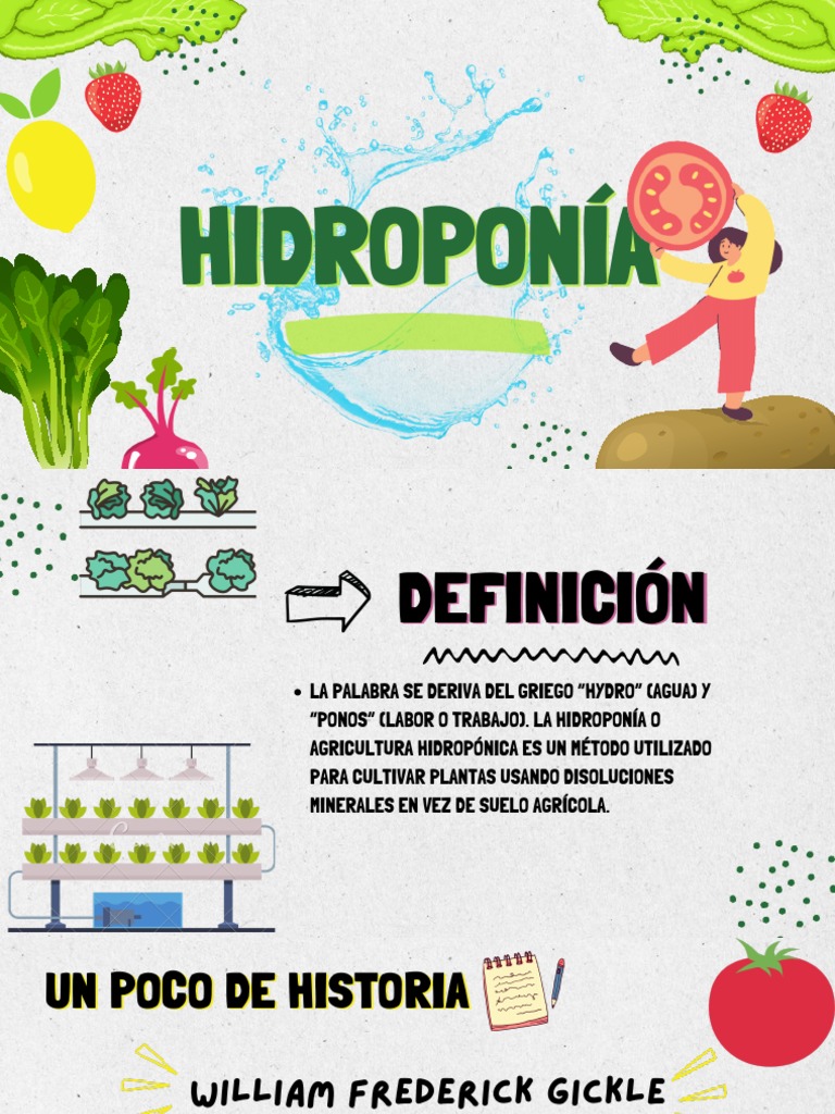 Hidroponia | PDF | Hidroponia | Agricultura