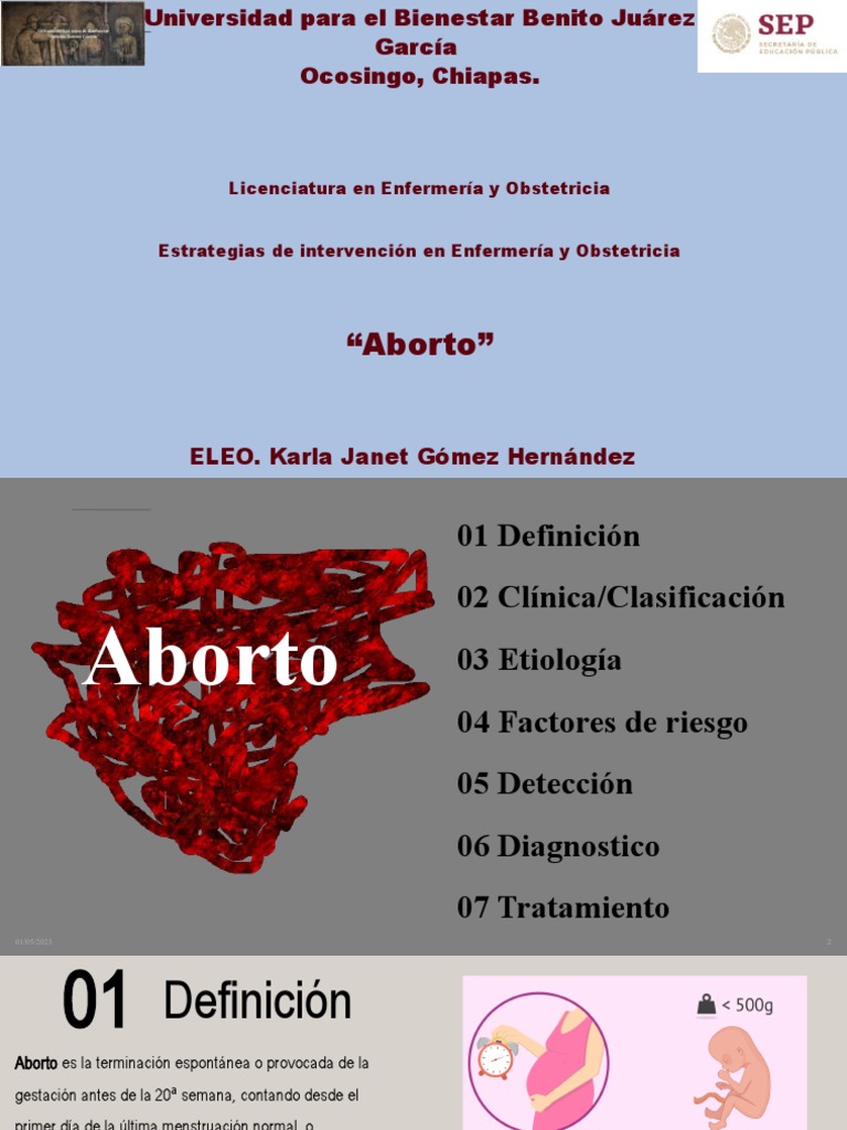 Untitled | PDF | Aborto espontáneo | El embarazo