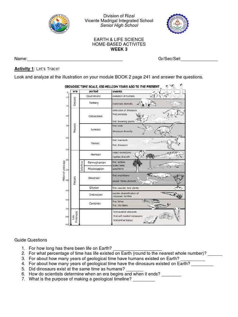 Week 3 Home Based Activities | PDF | Fossil | Geology