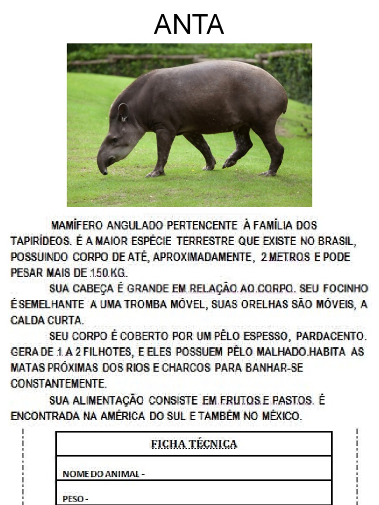 ANTA - Ficha Técnica | PDF