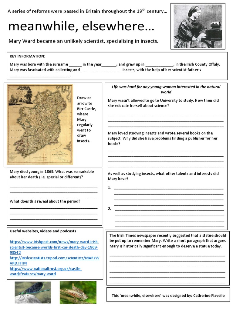 Meanwhile Elsewhere Mary Ward | PDF