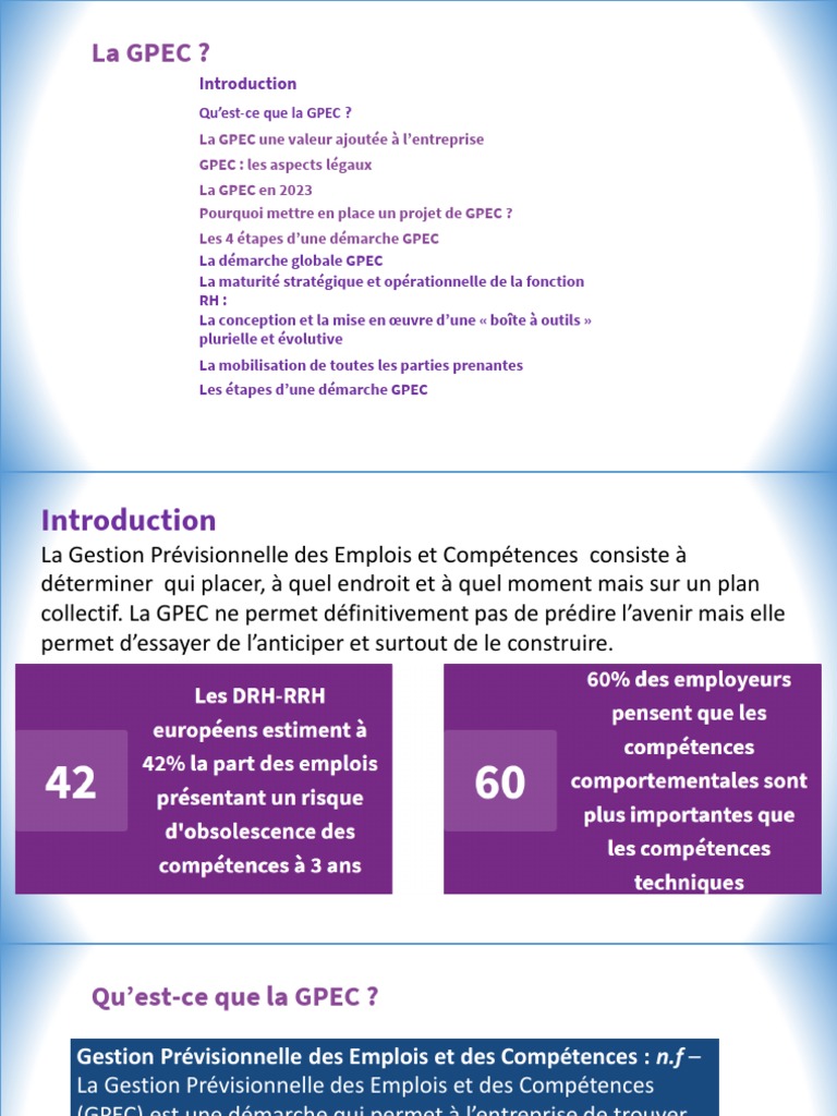 Comprendre la GPEC en 2023 | PDF | Gestion des ressources humaines ...